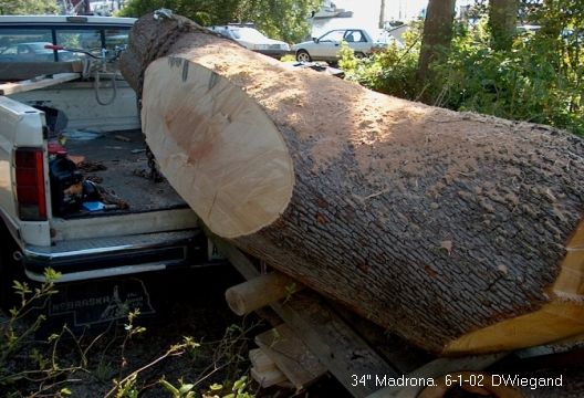 How to preserve a (standing) log end. - FineWoodworking