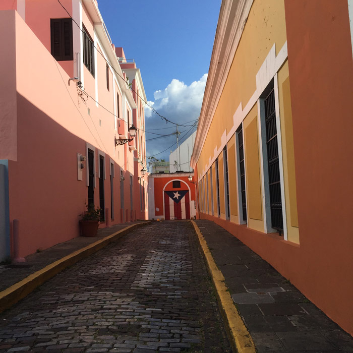 Forests to Furniture – An artisan ecotour in Puerto Rico - FineWoodworking