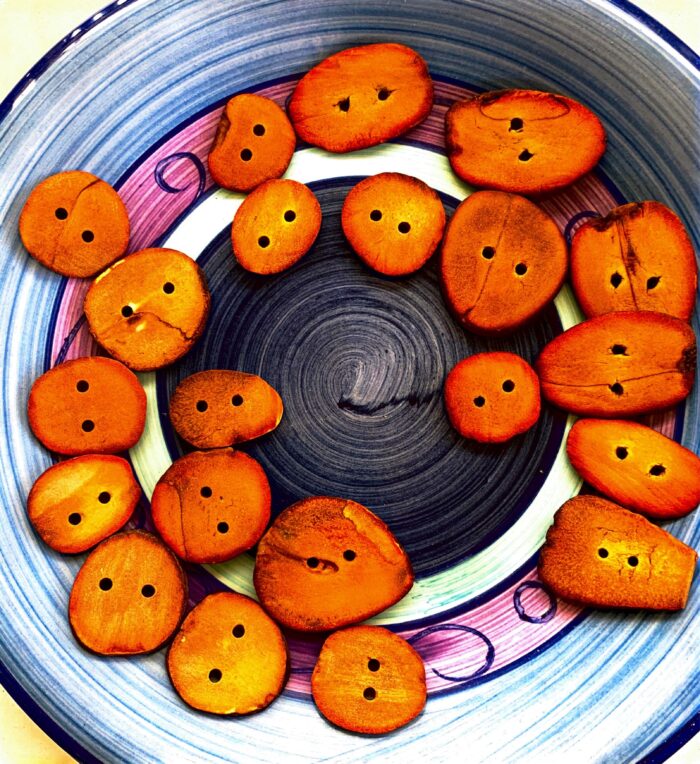 Avocado Seed Buttons - FineWoodworking