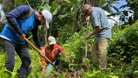Getting to the roots in Puerto Rico! - FineWoodworking