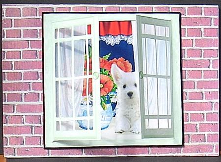 Acetate Open & Shut Windows Card - Poppies & Westie - CUP216609_604 ...