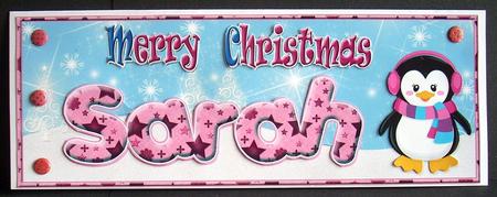 Merry Christmas Sarah - Photo by Joyce Watson