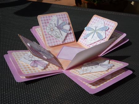 Dragonfly Exploding Box Kit - CUP36510_359 | Craftsuprint