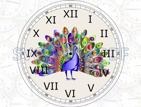 Peacock clock face with Arabic and Roman numbers. Minute tick marks ...