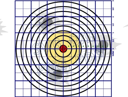 Combined shooting and zeroing target. Appropriate for optics and open ...