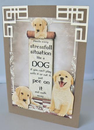 Handle Every Stressfull Situation Like a Dog - - CUP523027_1763 ...