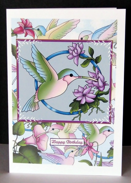 Hummingbird Frenzy - Photo by Barbara Hiebert