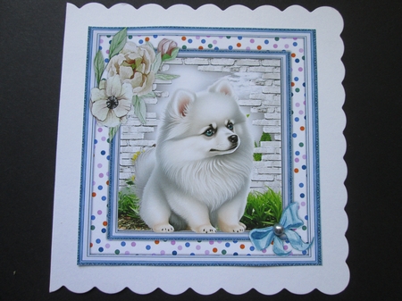 6, Beautiful 8x8 Dog Cards - Photo by Belinda Abraham