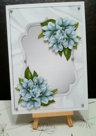Bumperkit Floral A5 Cards & Inserts - Photo by Benita Jenkinson