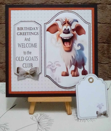 7x7 Welcome to the old goats club male, choice of four mini kit ...