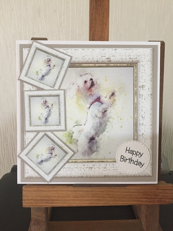 Watercolour Splatter Art - Dogs & Cats - Exclusive Bumper Kit ...