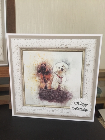 Watercolour Splatter Art - Dogs & Cats - Exclusive Bumper Kit ...