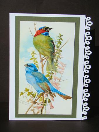 Blue Finches Cards - CUP493083_415 | Craftsuprint