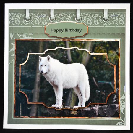 White Wolf Card with Shaped Layers - CUP522341_8 | Craftsuprint
