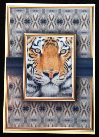 Tiger Face Quick Card - CUP569446_37 | Craftsuprint