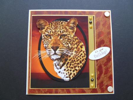 Animal Fur Paper - CUP317542_846 | Craftsuprint