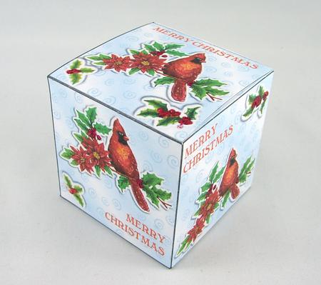 All in One Gift Box - Red Cardinal - CUP552380_66 | Craftsuprint