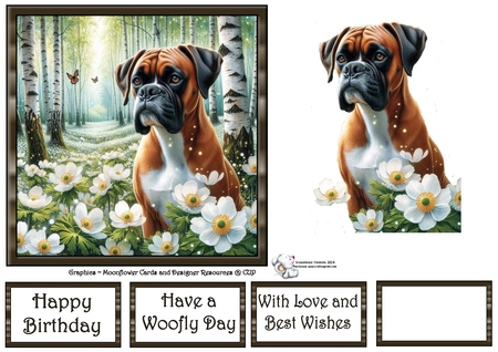 Beautiful Birch Forest Dogs 7 - Photo by ScouseMouse Creations