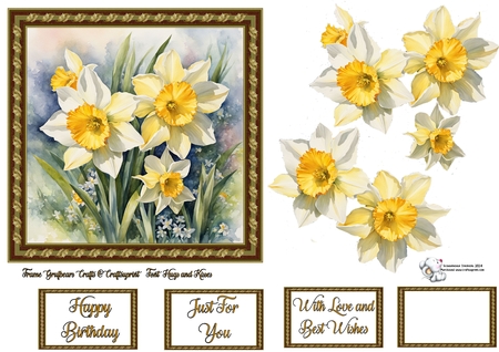 8 Acanthus Leaf frames in primary colours - CUP926872_76873 | Craftsuprint