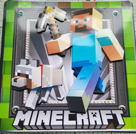 Minecraft Bumper Kit - Photo by Chell Sharpe