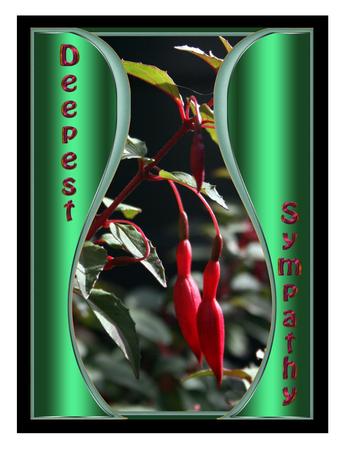 8 Swish Borders Style 2 - Cu4cu - CUP367422_99 | Craftsuprint