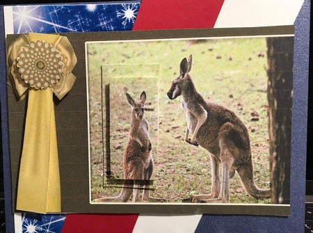 The Australian Kangaroo Happy Birthday Thank You Greetings F ...