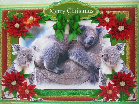 Koala at Christmas Card with Pyramid and 3D - CUP347868_49 | Craftsuprint