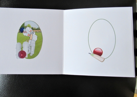 7x7 Its all about cricket insert - CUP1107474_1209 | Craftsuprint