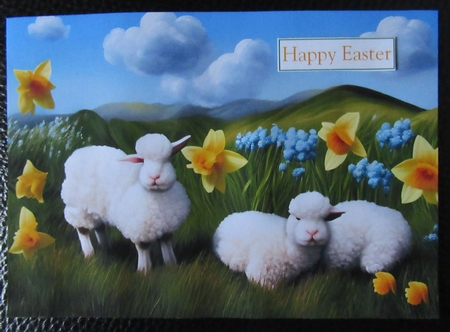 Easter set 1 - Photo by Davina Rundle