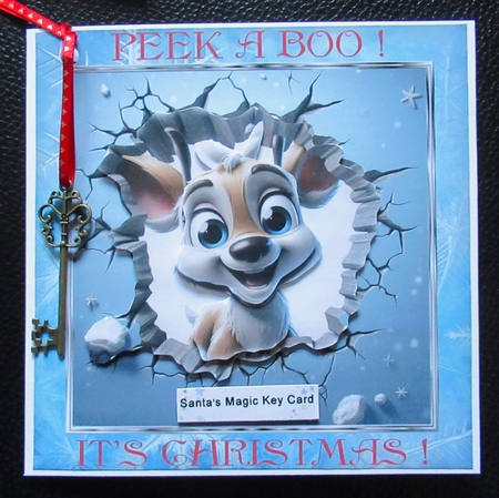 peek a boo Christmas 4 - Photo by Davina Rundle