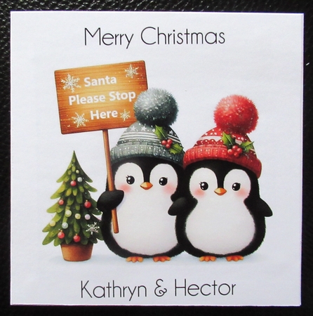 Festive Penguin CUSTOMER REQUEST - Photo by Davina Rundle