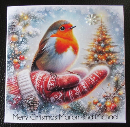 Robin Hand Christmas Wishes - Photo by Davina Rundle