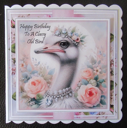 Happy Birthday To A Classy Old Bird - Photo by Davina Rundle