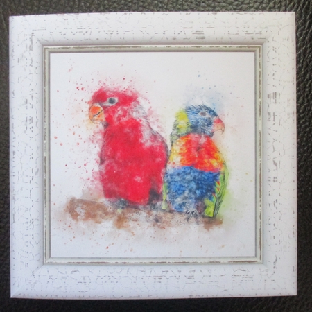 Watercolour Splatter Art - Exotic Animals - Exclusive Bumper Kit ...