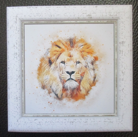 Watercolour Splatter Art - Exotic Animals - Exclusive Bumper Kit ...