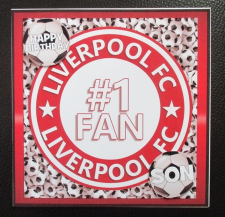 LIVERPOOL FC - CUP838025_57683 | Craftsuprint
