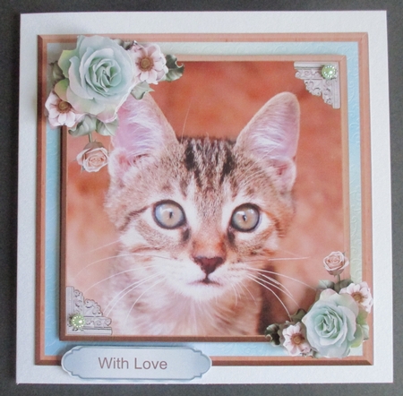Cute kitten card mini kit & decoupage - CUP968404_1894 | Craftsuprint