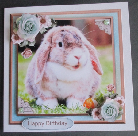 Cute bunny rabbit card mini kit & decoupage - CUP968415_1894 | Craftsuprint