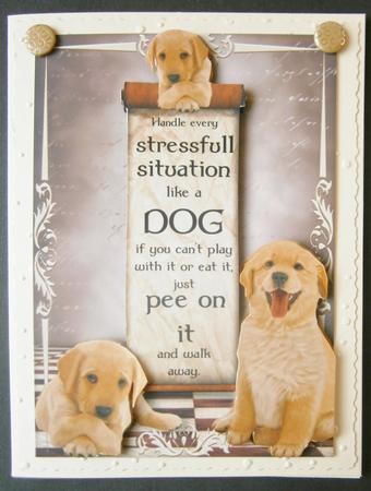 Handle Every Stressfull Situation Like a Dog - - CUP523027_1763 ...
