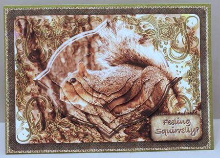 Feeling Squirrelly Shaped Pyramid A5 Card Kit - CUP212410_126 ...