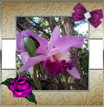 Frames galore 2400 x 2400 cu ok - Photo by Del Neubauer