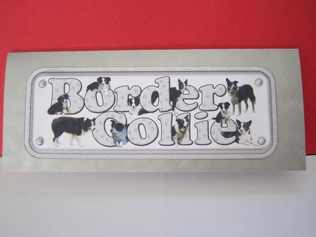 Border Collie Name Sign - CUP521734_15 | Craftsuprint