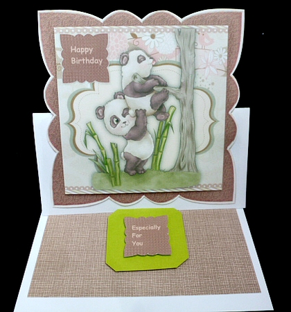 Birthday Boy Teamwork Pandas Card Topper - Photo by Diane Hitchcox ...