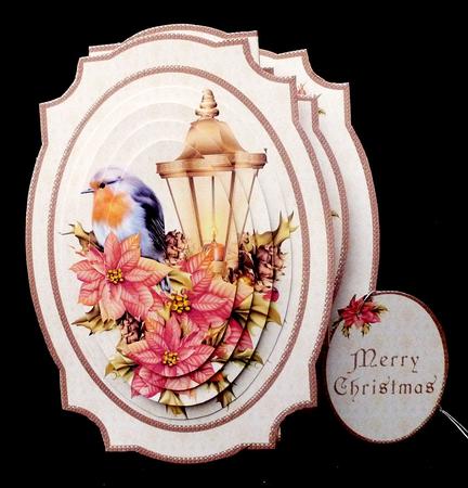Robin Double Pop-out Kit - CUP578873_1060 | Craftsuprint