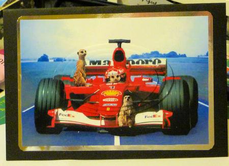 Meerkats Go Grand Prix F1 Racing - Oval Pyramid Card - CUP115950_604 ...