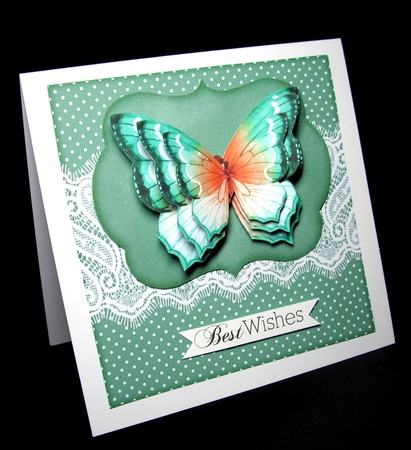 Hand Made Finished Cards By Dianne Jackson on Craftsuprint