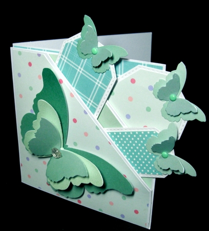 Hand Made Finished Cards By Dianne Jackson on Craftsuprint