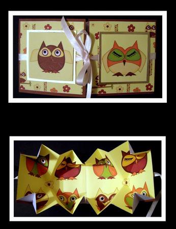 Owls Exploding Card - CUP161288_66 | Craftsuprint