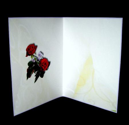 Red Roses Insert - CUP543783_906 | Craftsuprint