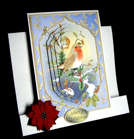 Christmas Robin Fancy Pyramid Card - CUP559499_1648 | Craftsuprint